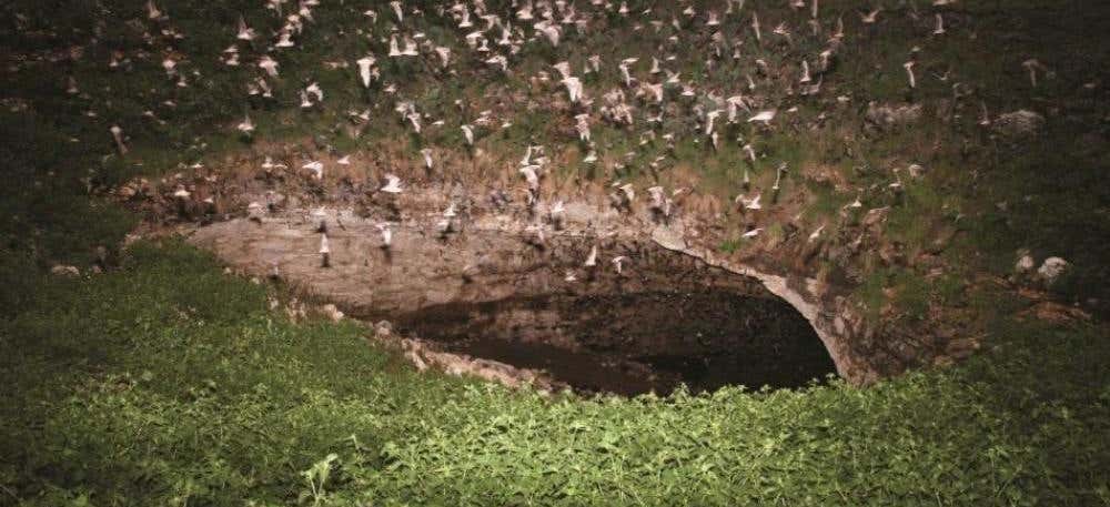 Road trip to Hill Country's quirkiest hidden gems | Roadtrippers