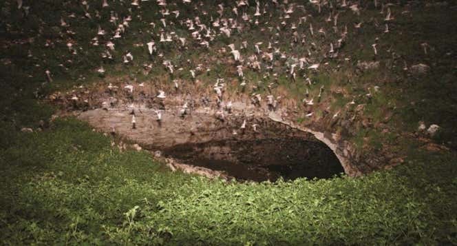 Photo of Bracken Cave | Roadtrippers