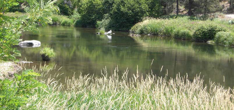 Minam State Recreation Area, Elgin | Roadtrippers