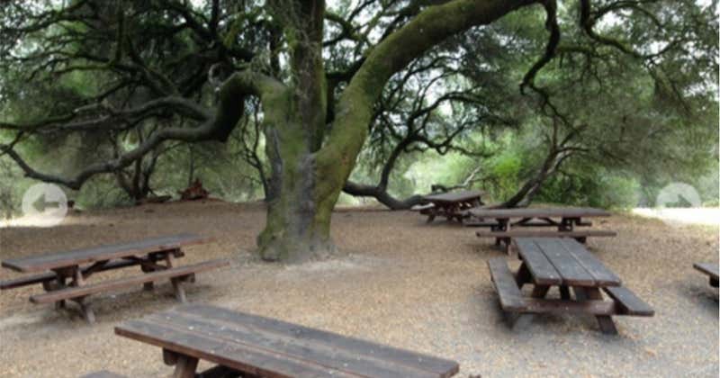 Ragle Ranch Regional Park, Sebastopol | Roadtrippers