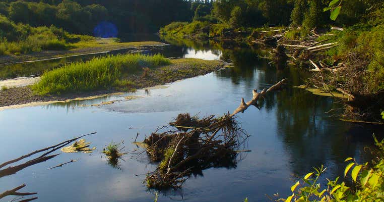 Molalla River State Park, Canby | Roadtrippers