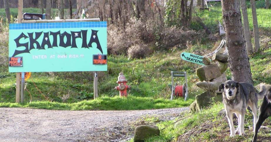 Skatopia, Rutland | Roadtrippers
