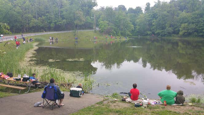 Photo of Devou Park | Roadtrippers