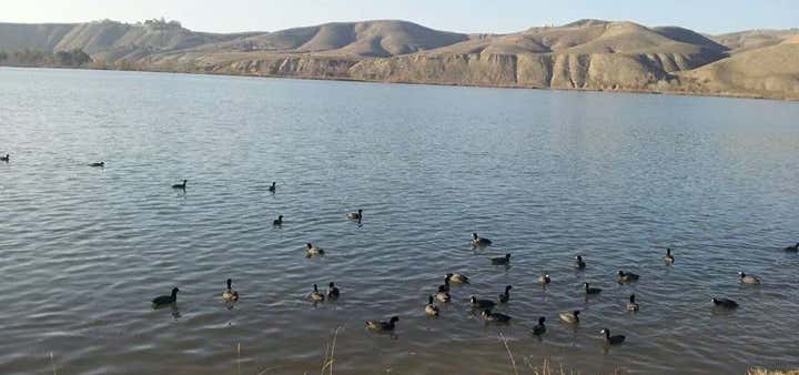 Lake Ming, Bakersfield | Roadtrippers