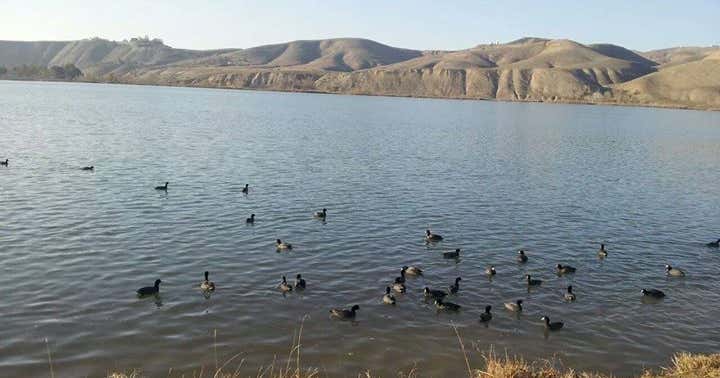 Lake Ming, Bakersfield | Roadtrippers