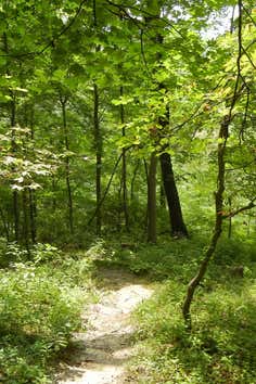 Photos for California Woods Natural Preserve | Roadtrippers
