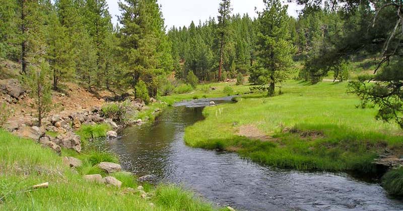 Ash Creek Campground, Adin | Roadtrippers