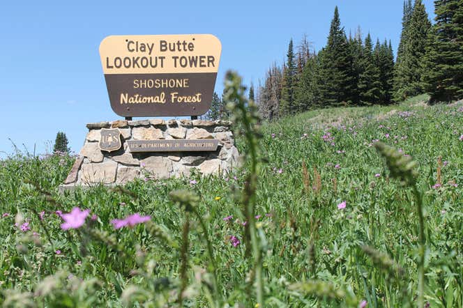 Photo of Clay Butte Lookout Tower | Roadtrippers