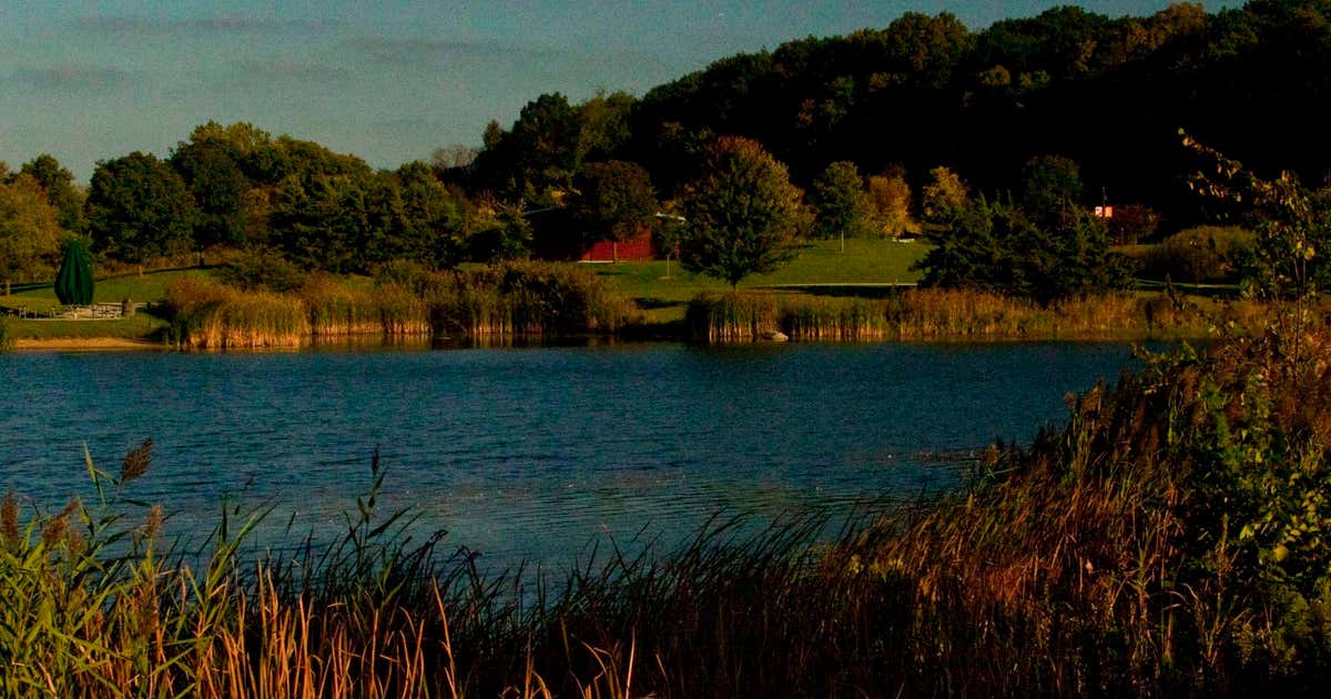 Independence Grove Forest Preserve, Libertyville | Roadtrippers