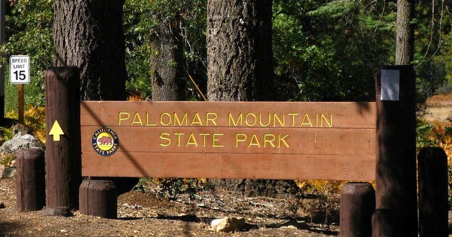 Palomar Mountain State Park, Palomar Mountain | Roadtrippers