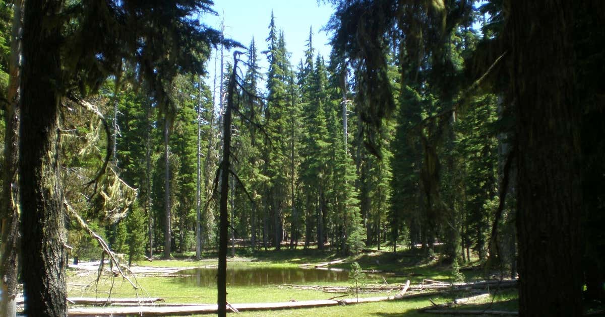 Senoj Lake Trail, Blue River | Roadtrippers