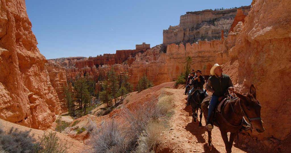 Canyon Trail Rides, Tropic | Roadtrippers