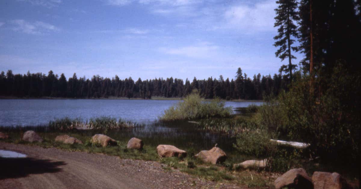 Delintment Lake, Harney | Roadtrippers