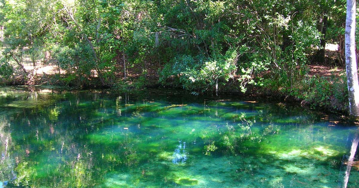 Welaka State Forest, Welaka | Roadtrippers