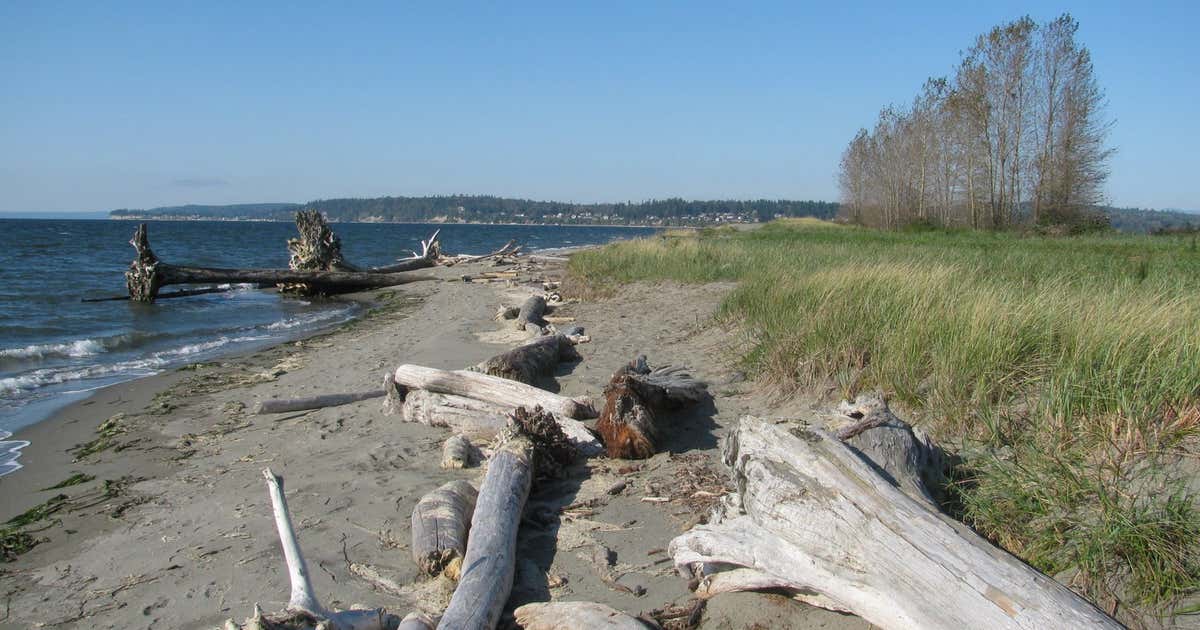 Jetty Island, Everett | Roadtrippers