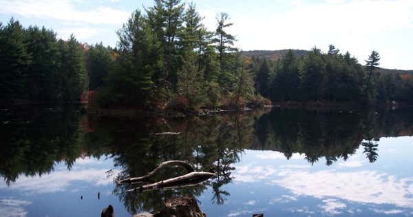 Bigelow Hollow State Park/Mashapaug Lake, Stafford Springs | Roadtrippers
