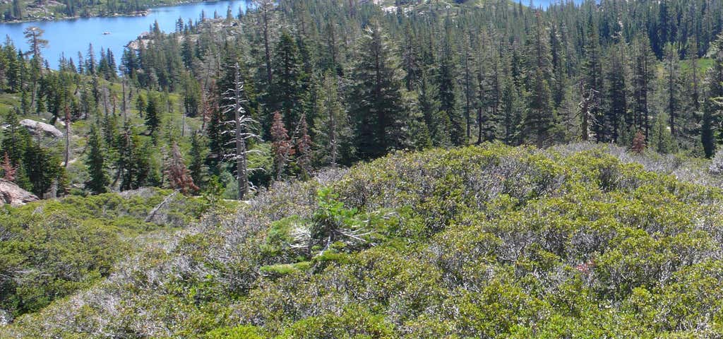 Mud Lake Trail, Oregon | Roadtrippers
