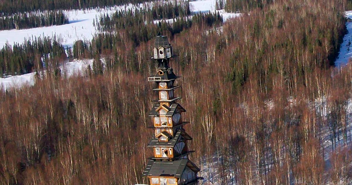 dr seuss house talkeetna