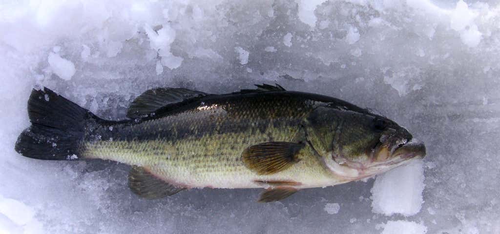 Peavy Pond, Michigan | Roadtrippers