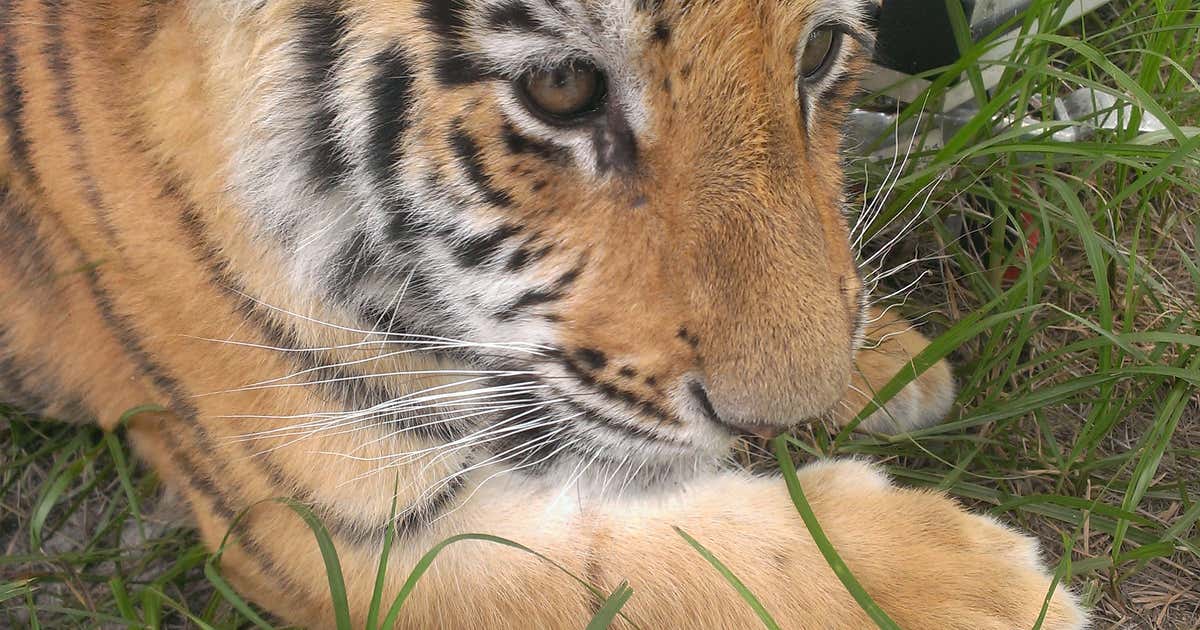 Single Vision, Melrose | Roadtrippers