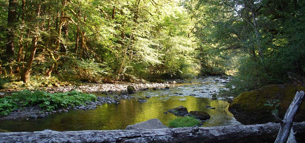 Ripplebrook Campground, Estacada | Roadtrippers