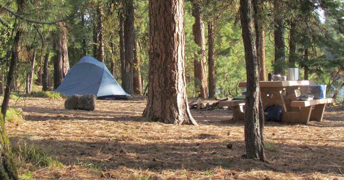 Delintment Creek Trail, Oregon | Roadtrippers