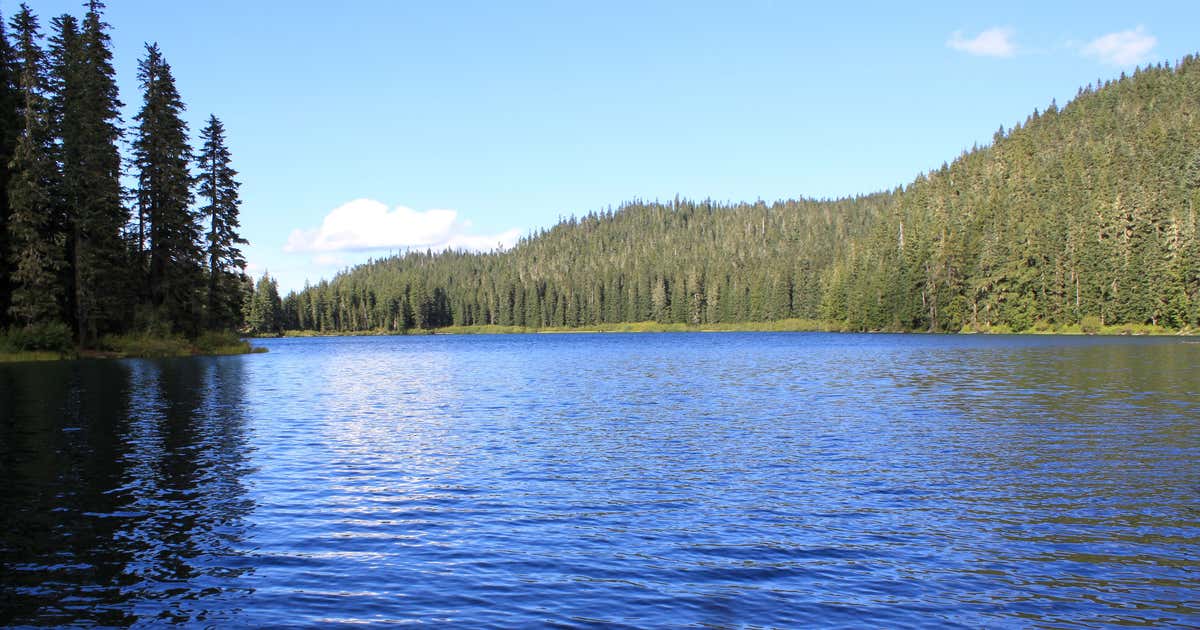 Delintment Lake, Harney | Roadtrippers