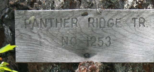 Panther Ridge Trail, Agness | Roadtrippers