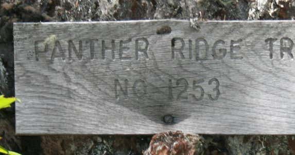 Panther Ridge Trail, Agness | Roadtrippers