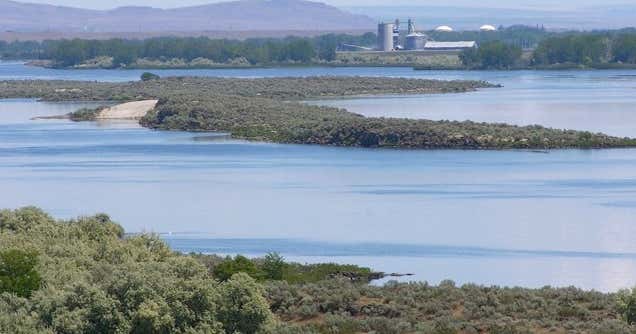 Irrigon Marine Park, Irrigon | Roadtrippers