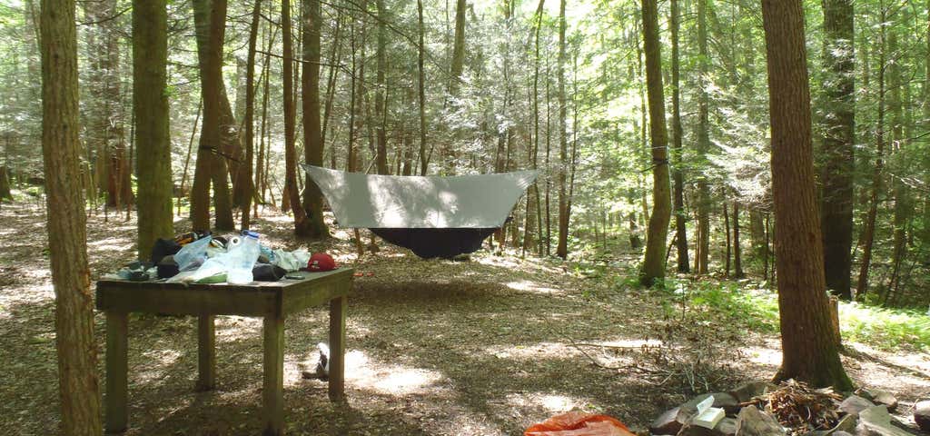 Camping at Frozen Head State Park, Wartburg | Roadtrippers Camping at Frozen Head State Park, Wartburg | Roadtrippers