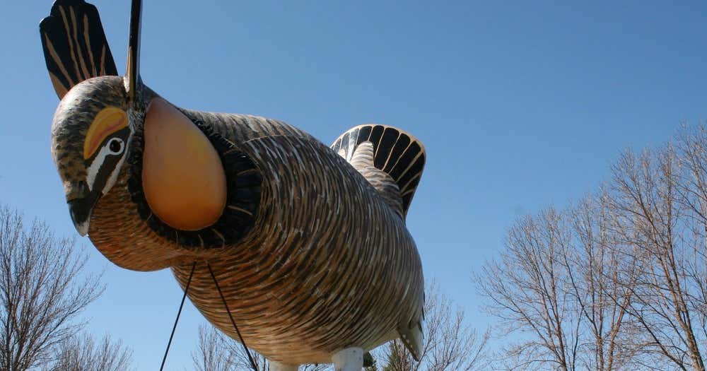 World's Largest Booming Prairie Chicken, Rothsay | Roadtrippers