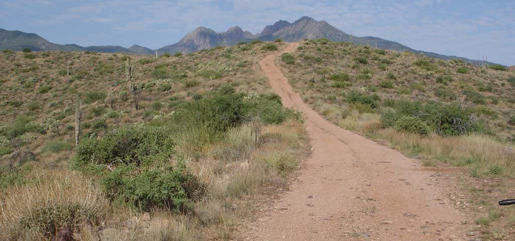 Cholla Recreation Site, Arizona | Roadtrippers