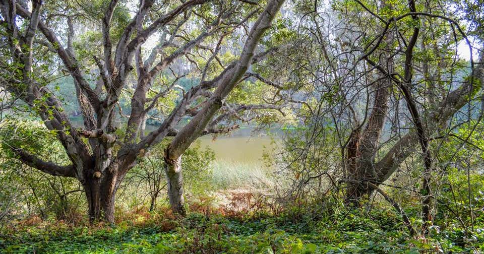 Schwan Lake Santa Cruz, Santa Cruz | Roadtrippers
