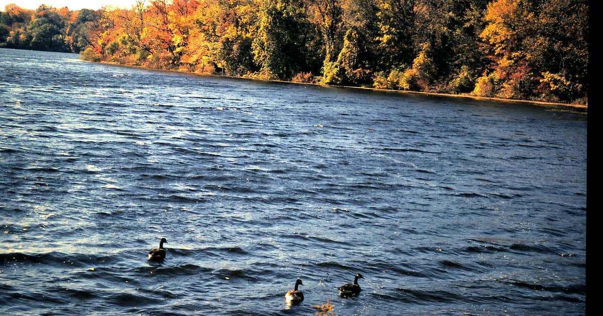 Franklin D. Roosevelt State Park, Yorktown Heights | Roadtrippers