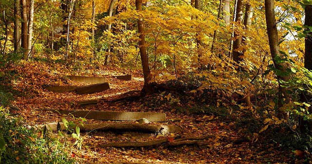 Cold Spring Harbor State Park, Cold Spring Harbor | Roadtrippers