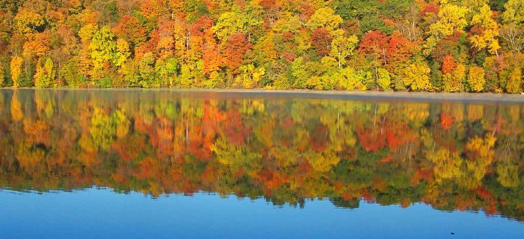 Eight Fall Foliage Spots To Add To Your Bucket List | Roadtrippers
