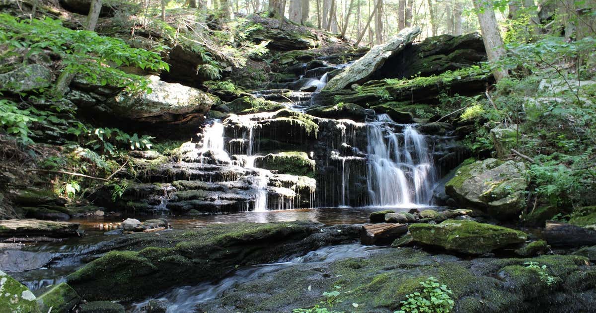 Day Pond State Park, Colchester | Roadtrippers