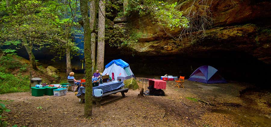 Clear Stream Natural Camp Ground, Errol | Roadtrippers