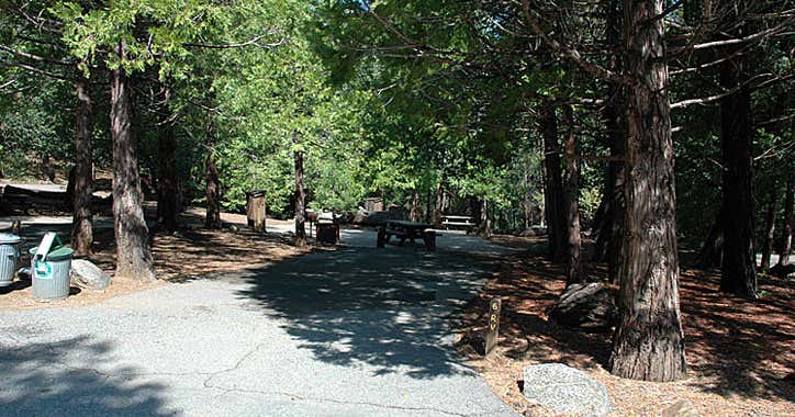 Doane Valley Campground, Palomar Mountain | Roadtrippers