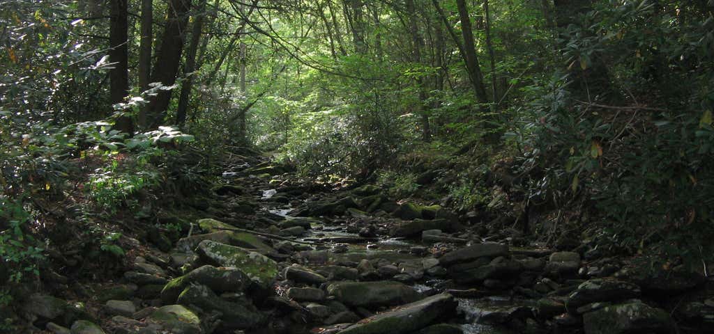 Patterson State Park, Coudersport | Roadtrippers