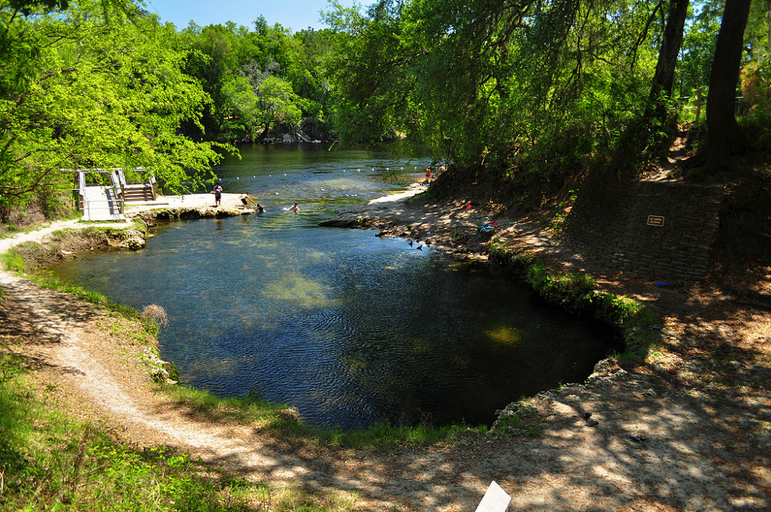 Lafayette Blue Springs State Park, Mayo | Roadtrippers