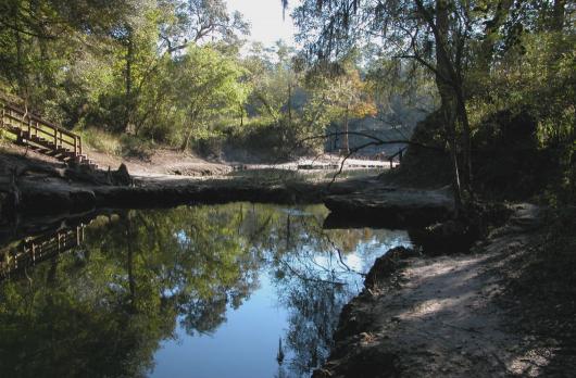 Photo of Lafayette Blue Springs State Park | Roadtrippers