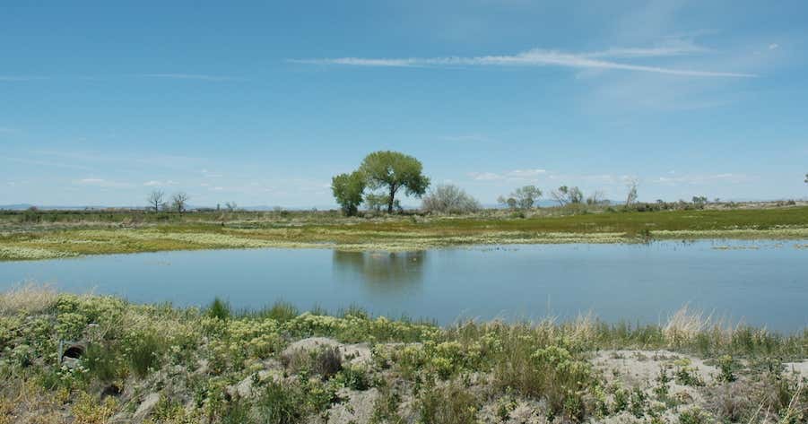 Stillwater National Wildlife Refuge, Fallon | Roadtrippers