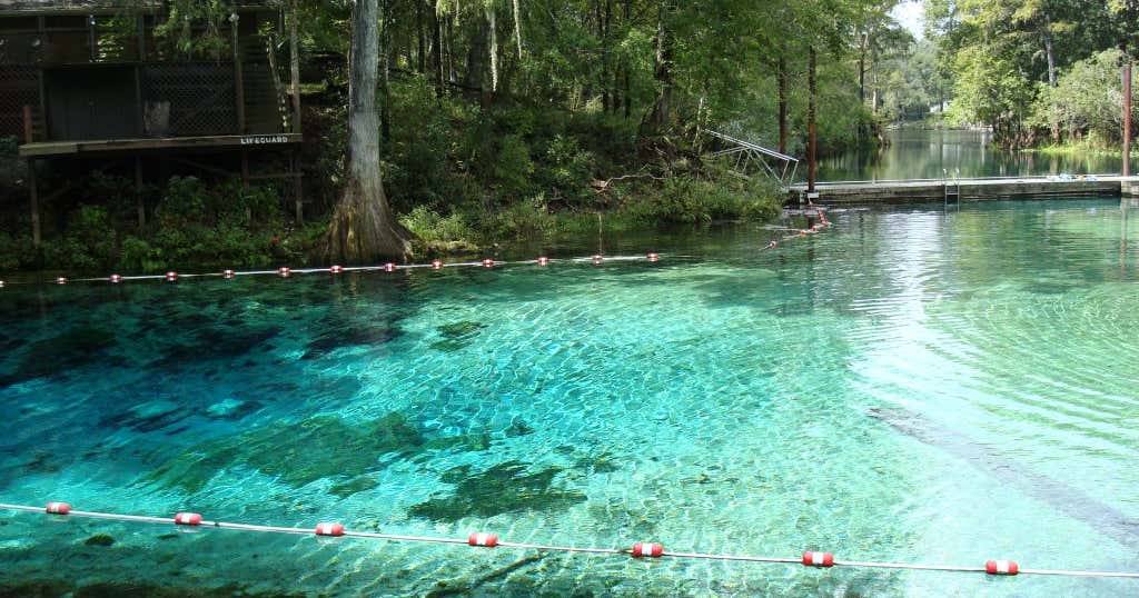 Fanning Springs State Park, Fanning Springs | Roadtrippers