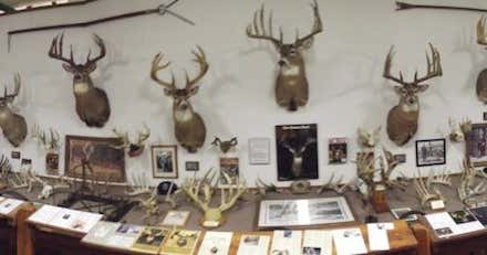 Michigan Whitetail Hall of Fame Museum, Grass Lake | Roadtrippers