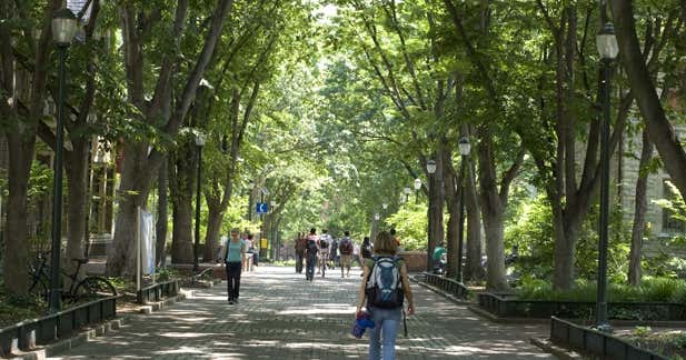 Locust Walk, Philadelphia | Roadtrippers