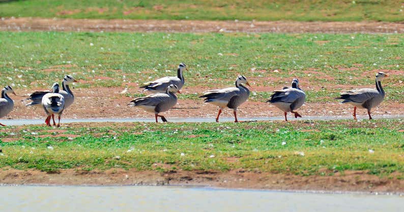 Cora Hartshorn Arboretum & Bird Sanctuary, Short Hills | Roadtrippers