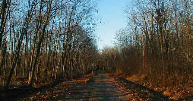 Boy Scout Lane, Stevens Point | Roadtrippers
