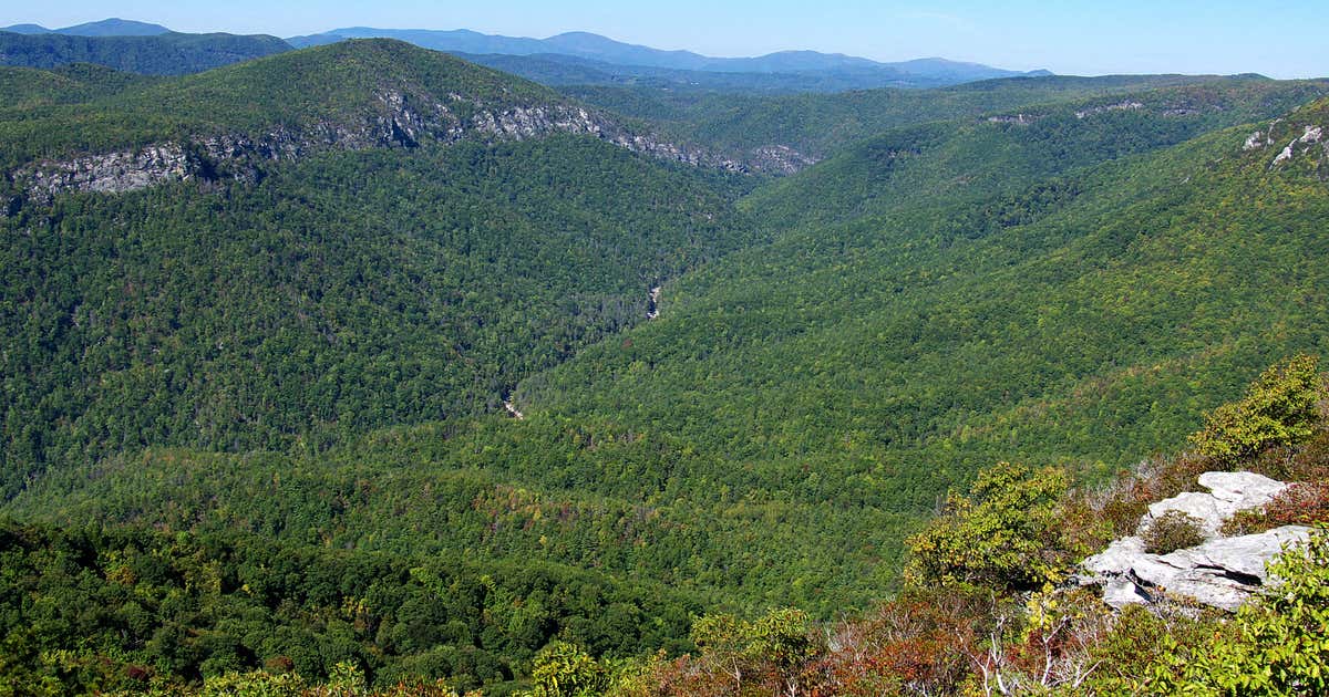 Chattahoochee-Oconee National Forest, Georgia | Roadtrippers